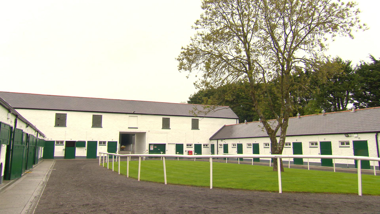 The Curragh Racecourse - Purcell
